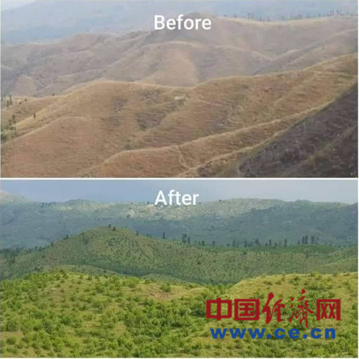 Sino-Pak forestry potential: Introducing China's technologies to combat ...