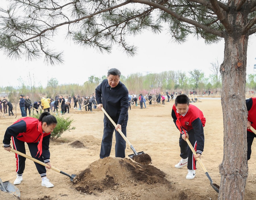 Planting trees is growing a green future--China Economic Net