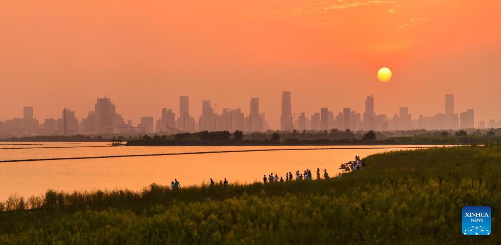 Hefei City strengthens protection of wetlands around Chaohu Lake in ...