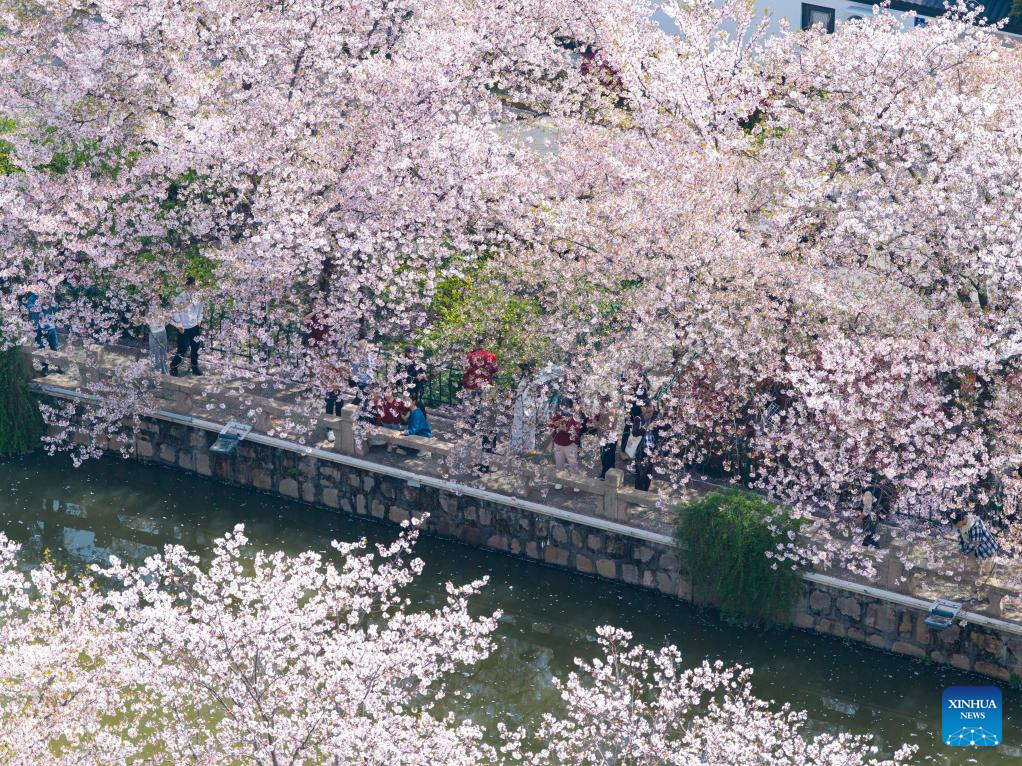 Tourism boosts spring economy during Qingming Festival holiday--China ...