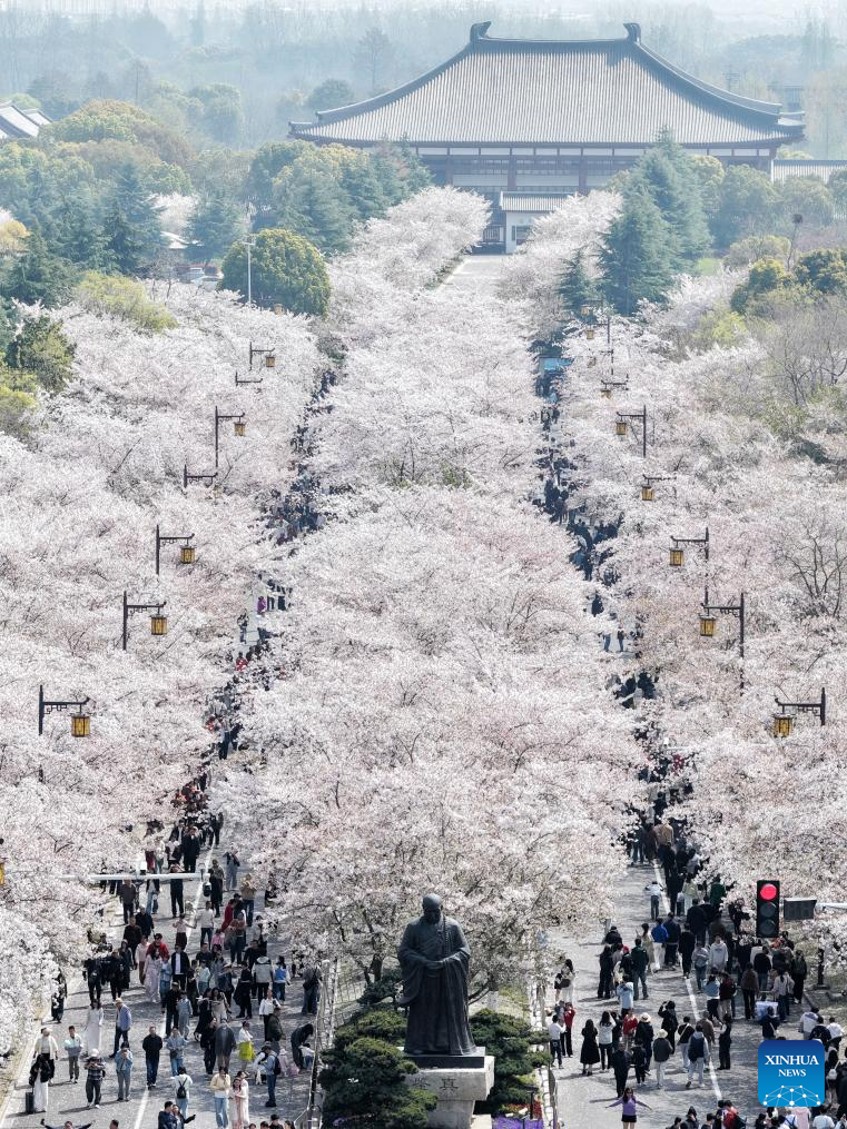 Tourism boosts spring economy during Qingming Festival holiday--China ...